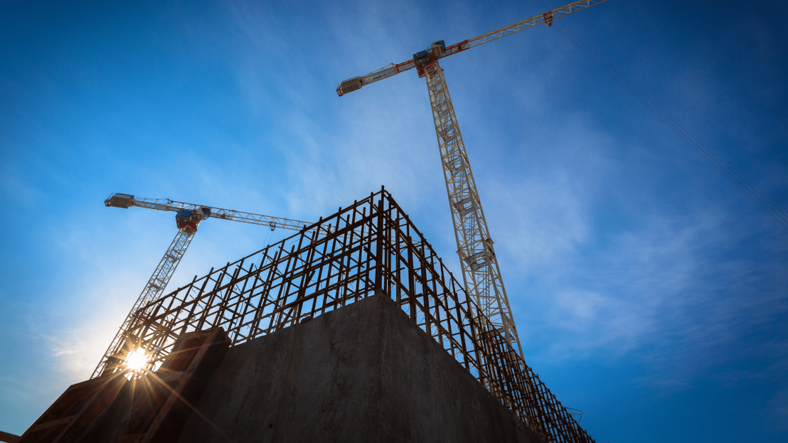 The importance of innovation and intellectual property for the ...