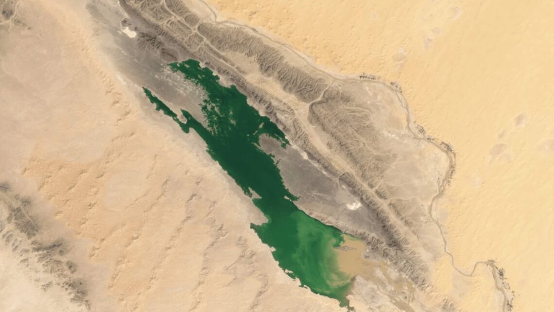 The Sahara desert, green? - MENA-Forum